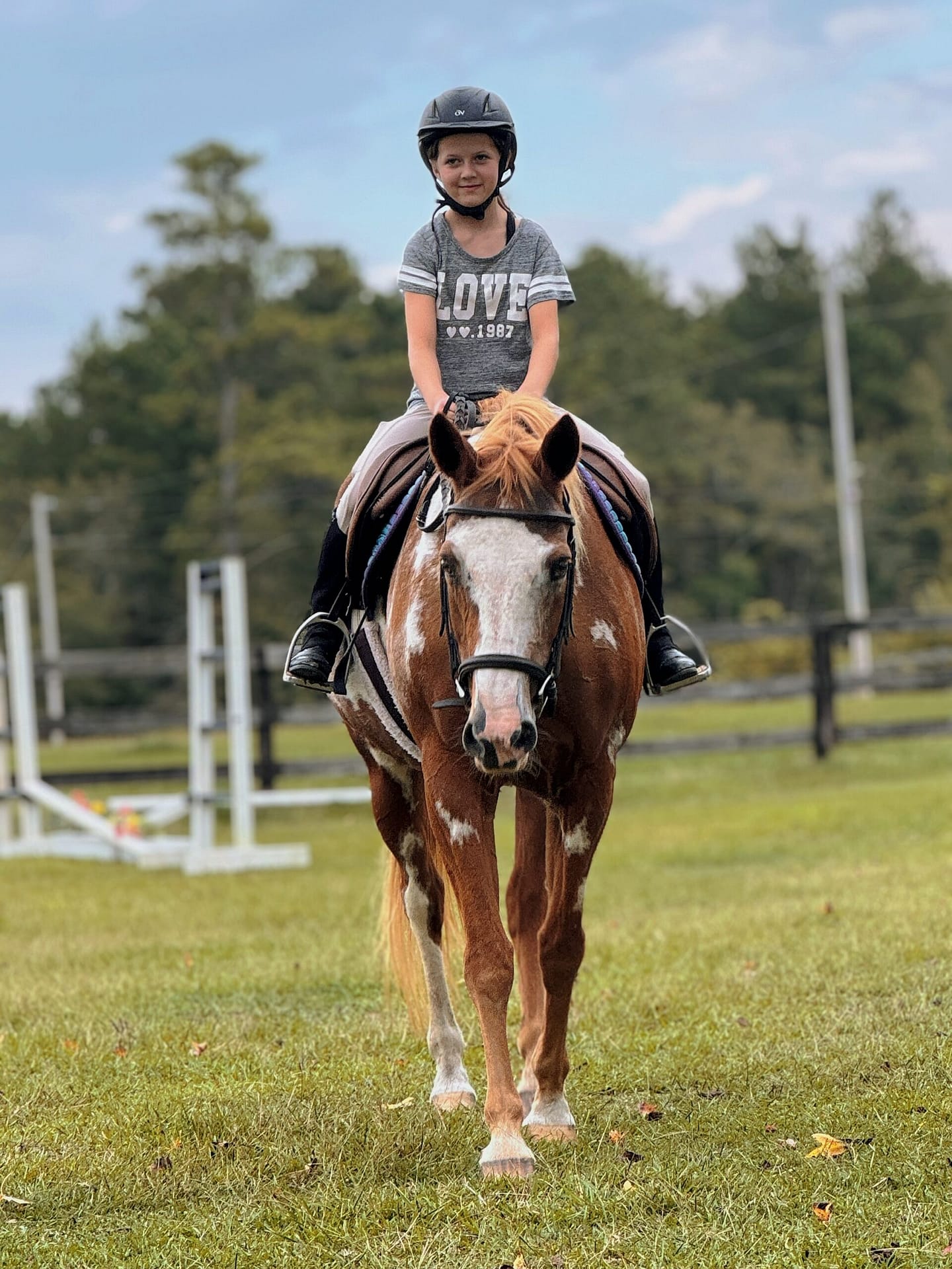 Sunnyfield Equestrian - Boarding & Lessons